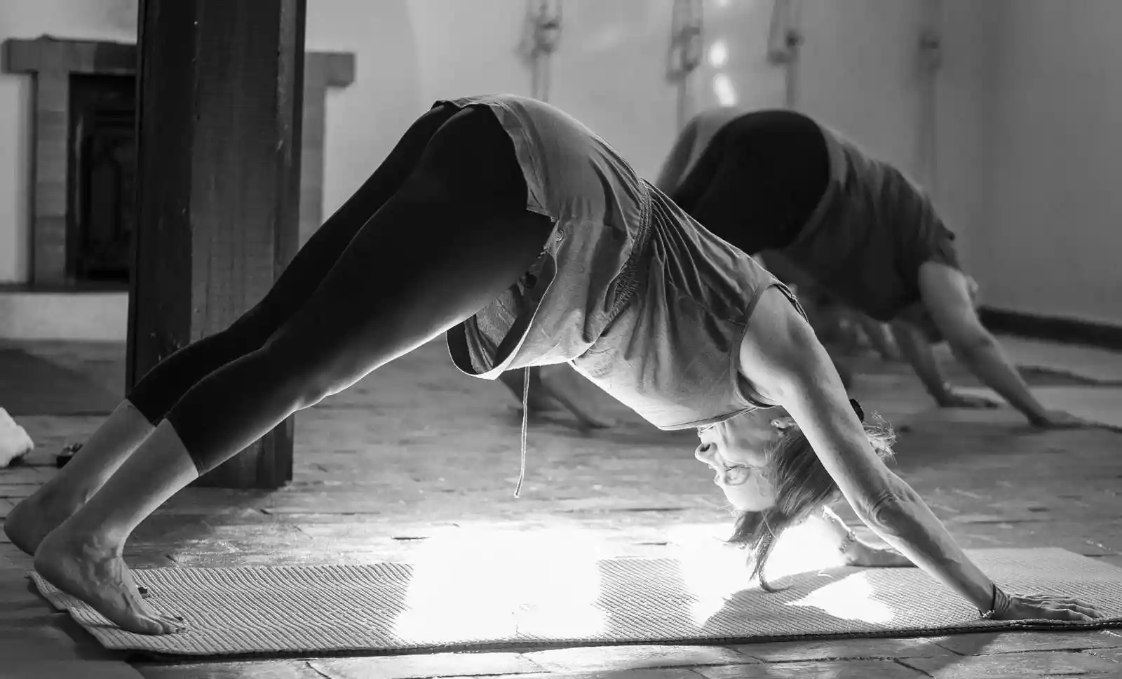 Matai / Wellness Foundation Academy Courses With Matai Guru