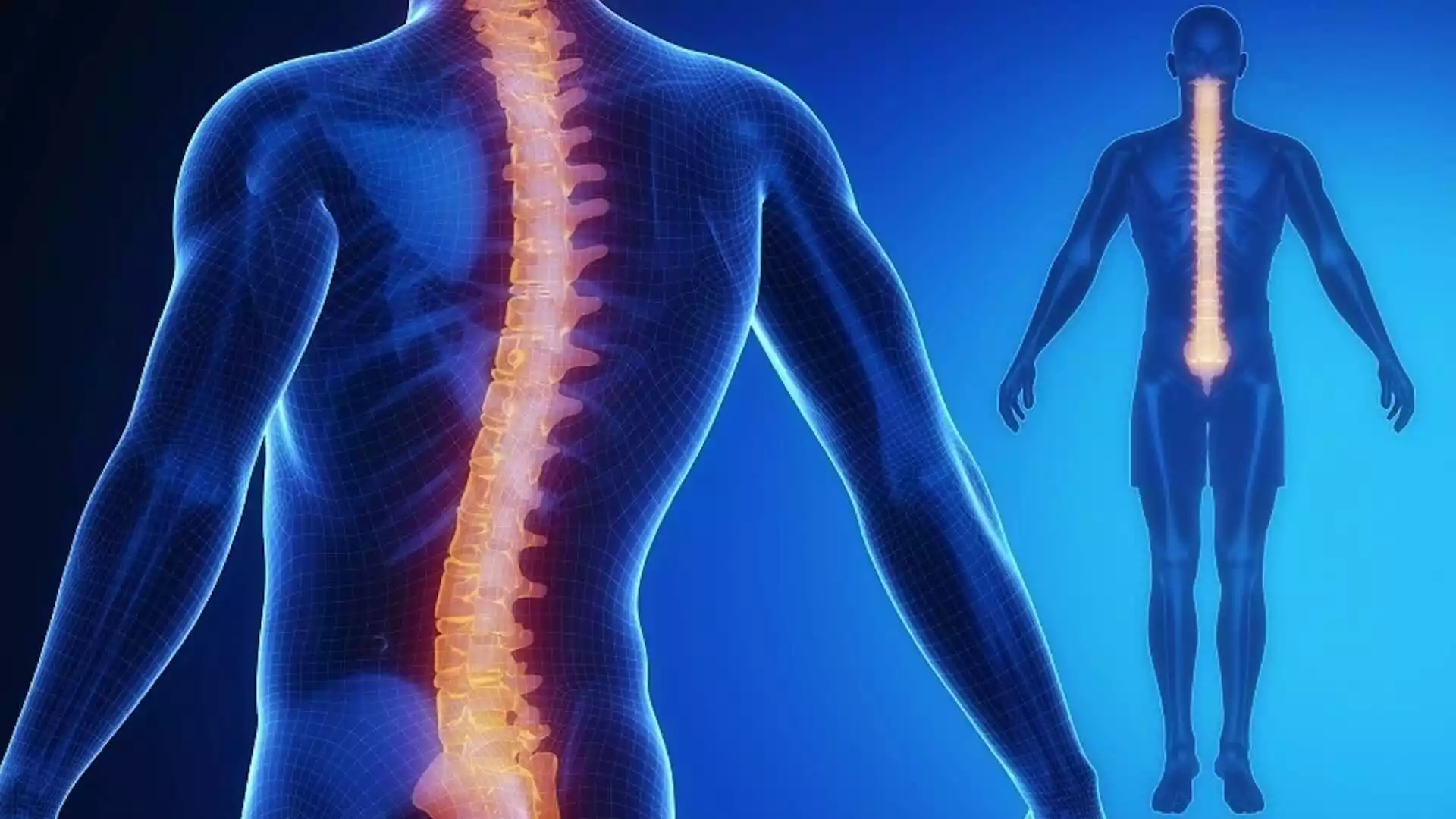 Anabolic Transcendental Pilate from The Matai Yoga